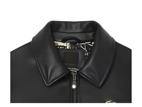 Custom Varsity Jackets Manufacturer Wholesale & Bulk Order